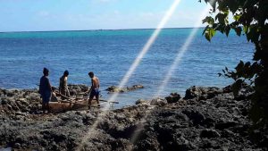 MAF – Ministry of Agriculture & Fisheries