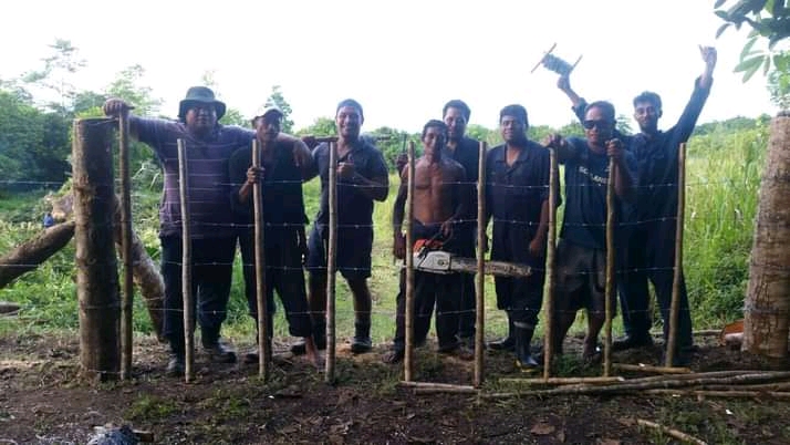 MAF – Ministry of Agriculture & Fisheries